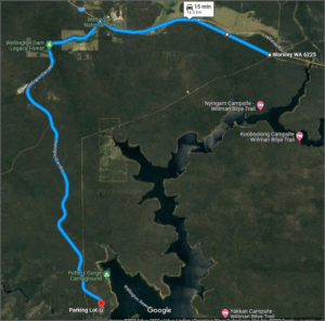 Collie Ultra Marathon CRU100 | 100km Race Trail Running Western Australia